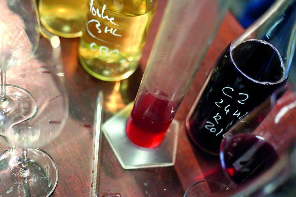 Cracking the Champagne Code - The Champagne Guide