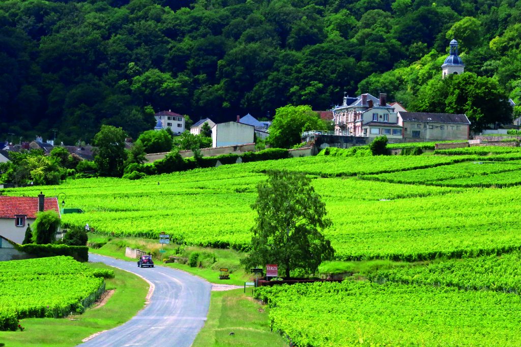 Coteaux Champenois - The Champagne Guide